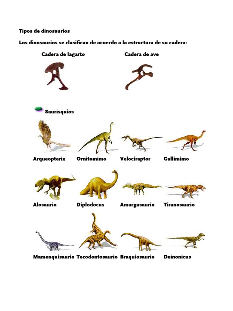 Tipos de Dinosaurios | Dinosaurios | Dinosaurios Mesozoicos