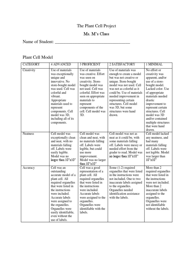 Plant Cell Model Rubric | PDF | Cell (Biology) | Cognition