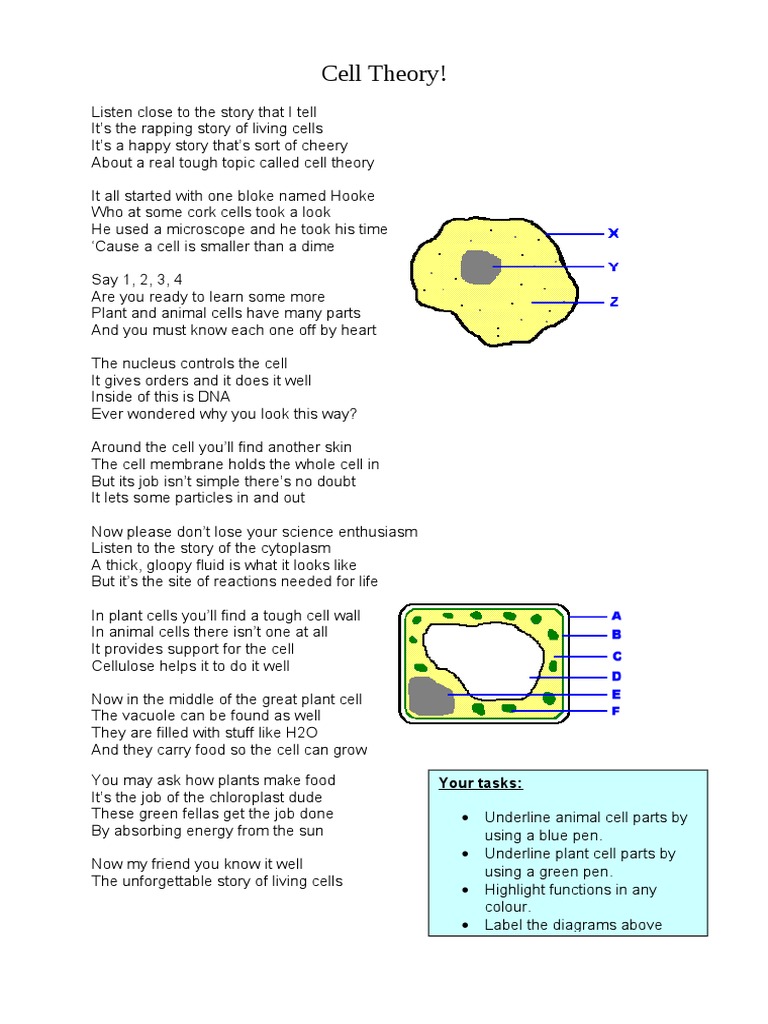 Cell Theory-Song | PDF | Eukaryotes | Cell (Biology)