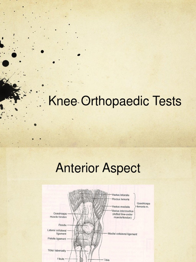 Knee Orthopaedic Tests | PDF | Knee | Anatomical Terms Of Motion
