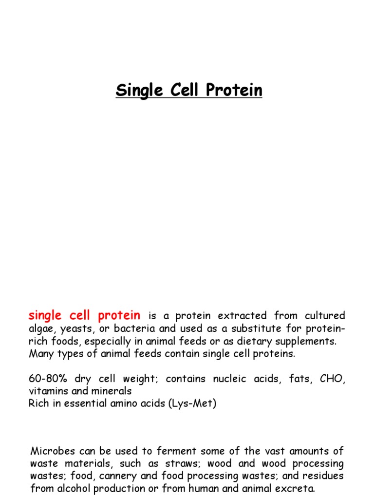 SCP | PDF | Edible Mushroom | Mushroom