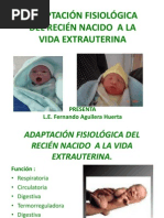 Maniobra de Ritgen | PDF | Parto | Reproducción