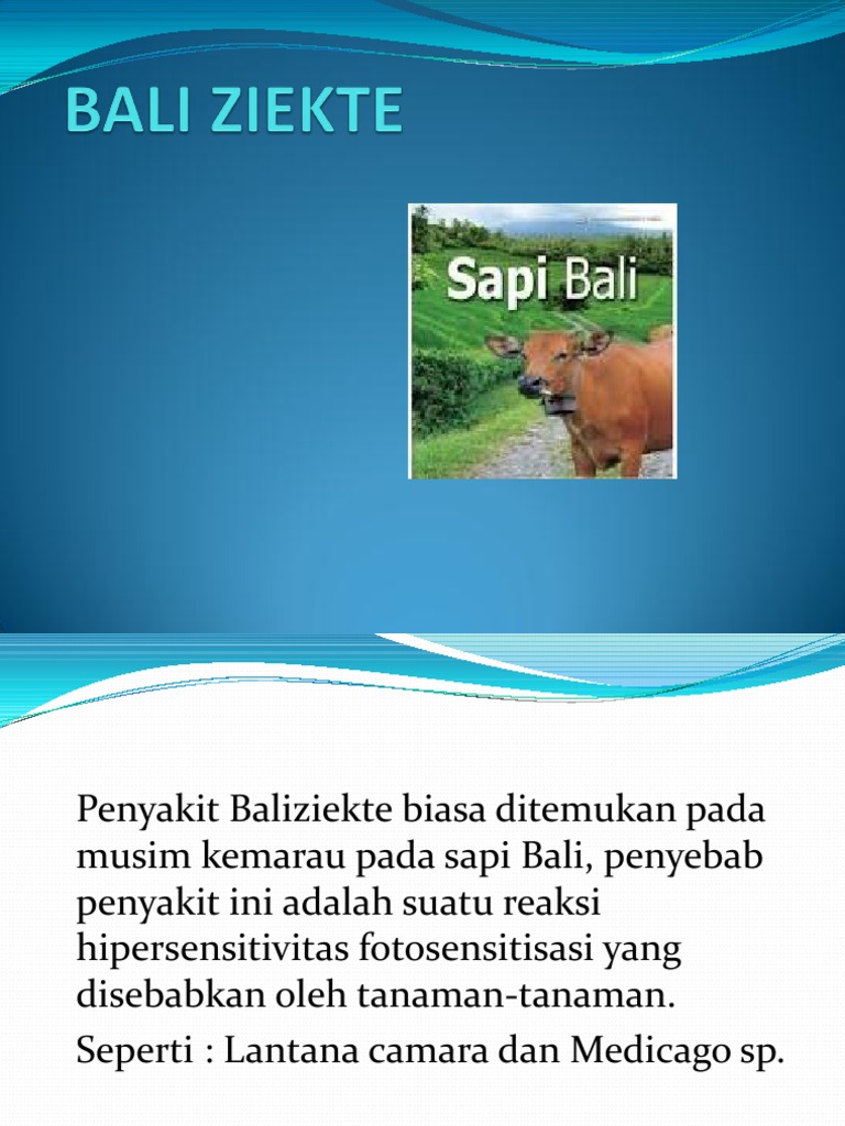 Farmasi Veteriner - BALI ZIEKTE | PDF
