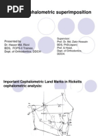 Steiner Stick and Holdaway Analysis | PDF | Human Head And Neck ...