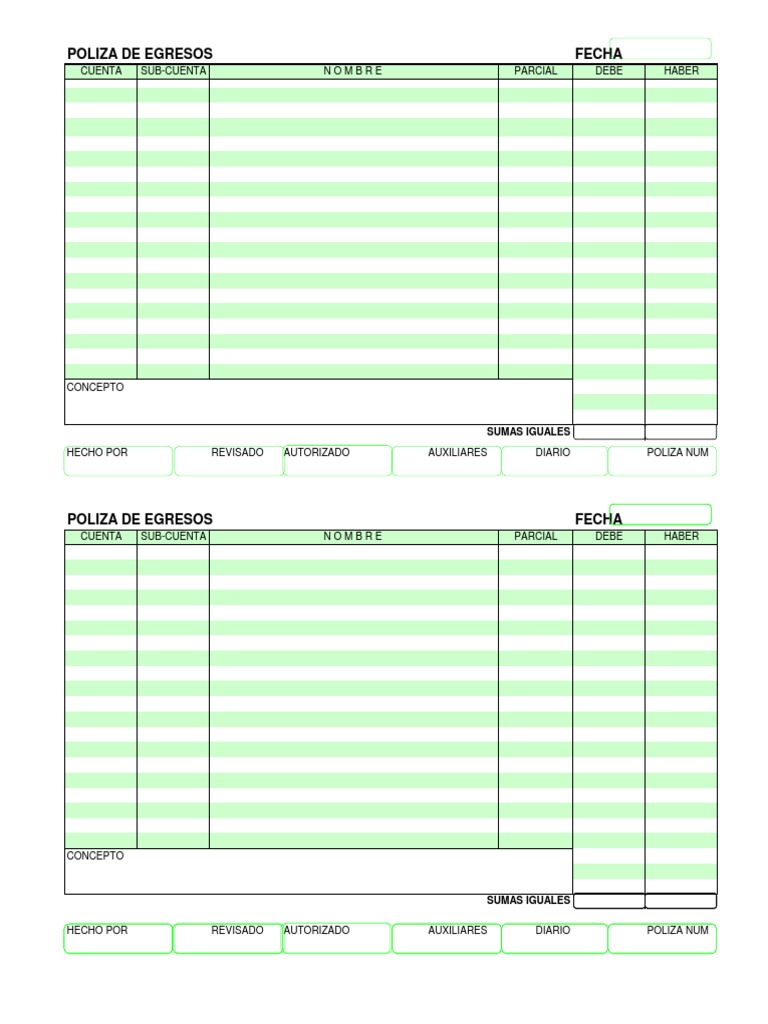 Formato Poliza Cheque | PDF