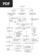 Pathway Chepalgia | PDF