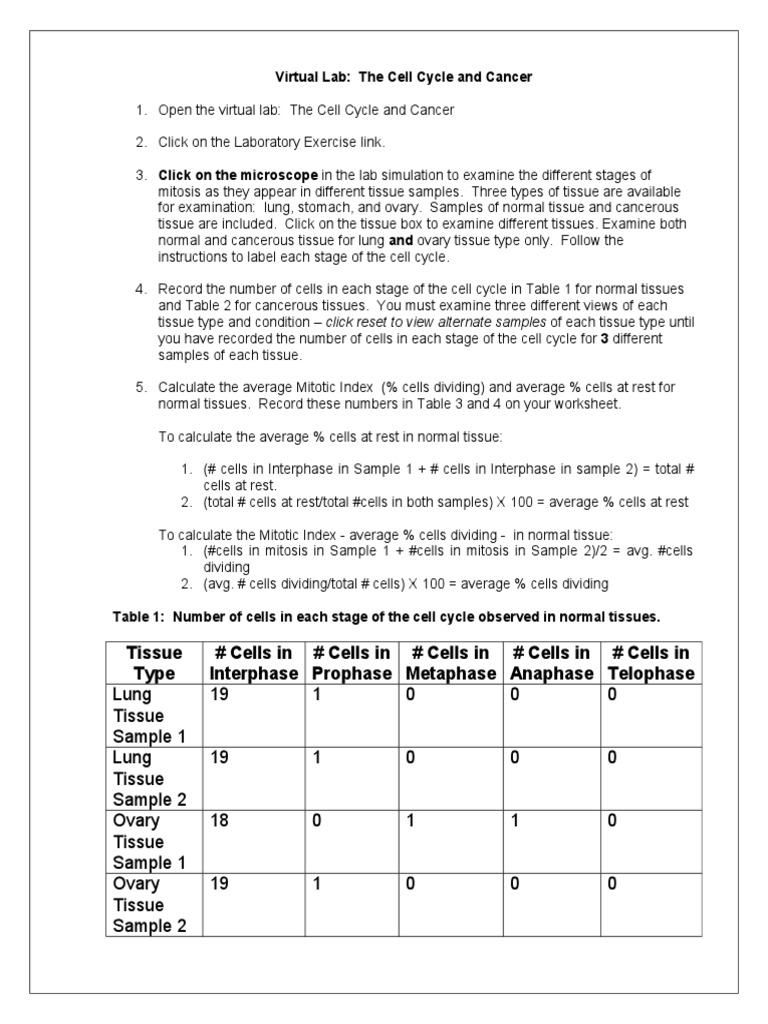 07-Cell Cycle Virtual Lab Handout Solutions | PDF | Mitosis | Ovarian ...