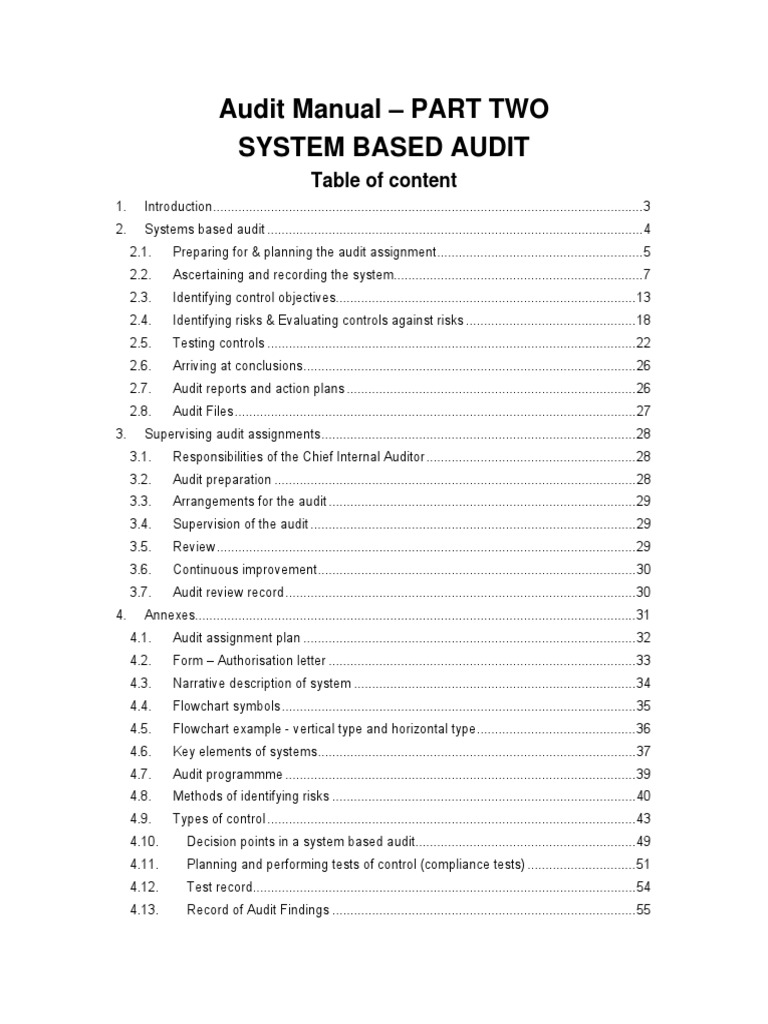 System based auditing manual | Internal Audit | Audit