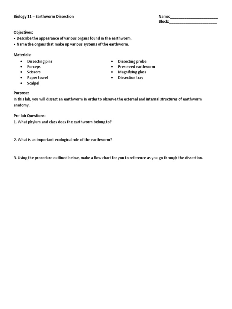 Earthworm Dissection Guide and Diagram | PDF | Anatomy | Animal Anatomy