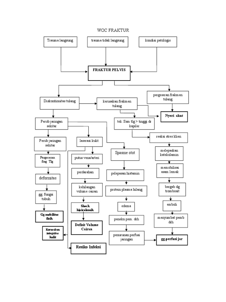 Woc Fraktur Pelvis | PDF