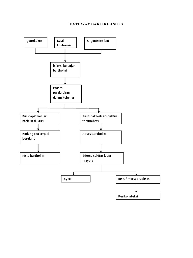 Pathway Bartholinitis | PDF