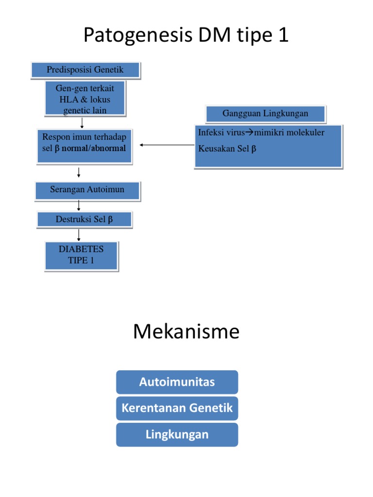 Patogenesis DM Tipe 1 | PDF