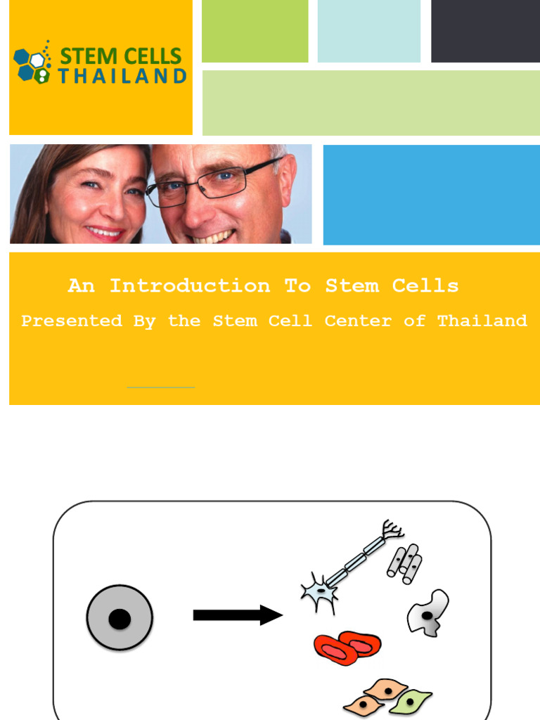 Introduction to Stem Cells Overview | PDF | Health Sciences | Cell Potency