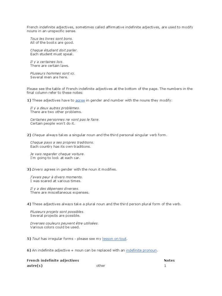 Understanding French Indefinite Adjectives | PDF