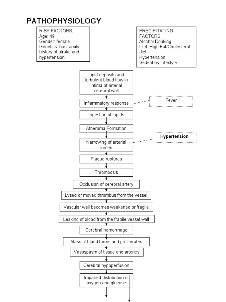 Stroke Pathophysiology | PDF | Blood Vessel | Stroke