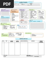 Student Nurse Kardex Sheet | PDF | Health Care | Health Sciences