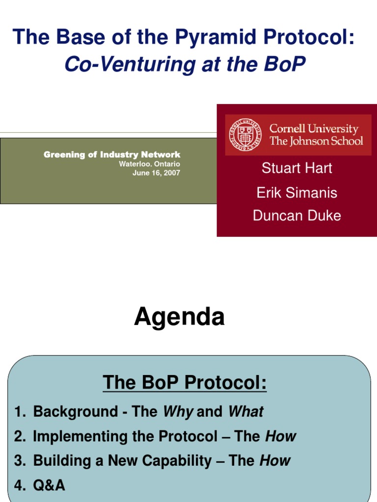 Co-Venturing at The Bop: The Base of The Pyramid Protocol | PDF | Business Model | Entrepreneurship