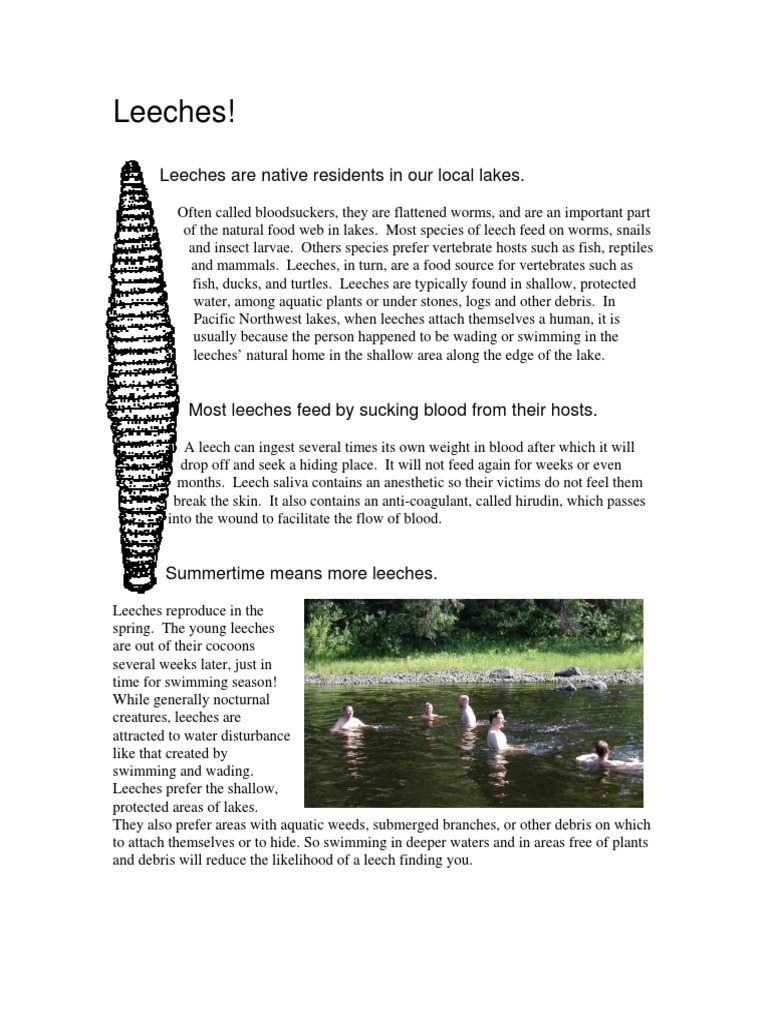 Leeches!: Leeches Are Native Residents in Our Local Lakes | Download ...
