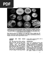 Dr. Ame Garong ": Ame P. Garong, A Museum Researcher at The National ...