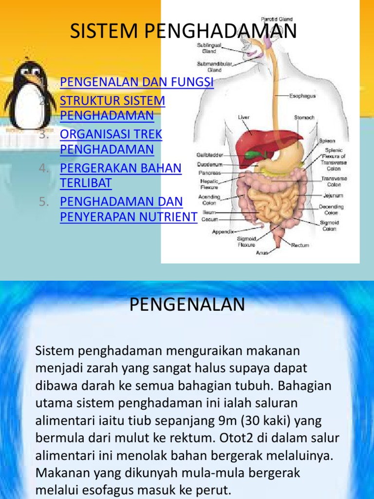 Sistem Penghadaman | PDF