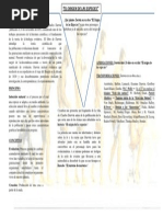 Que Es El Jugo Nuclear | PDF | Biología Celular | Biología