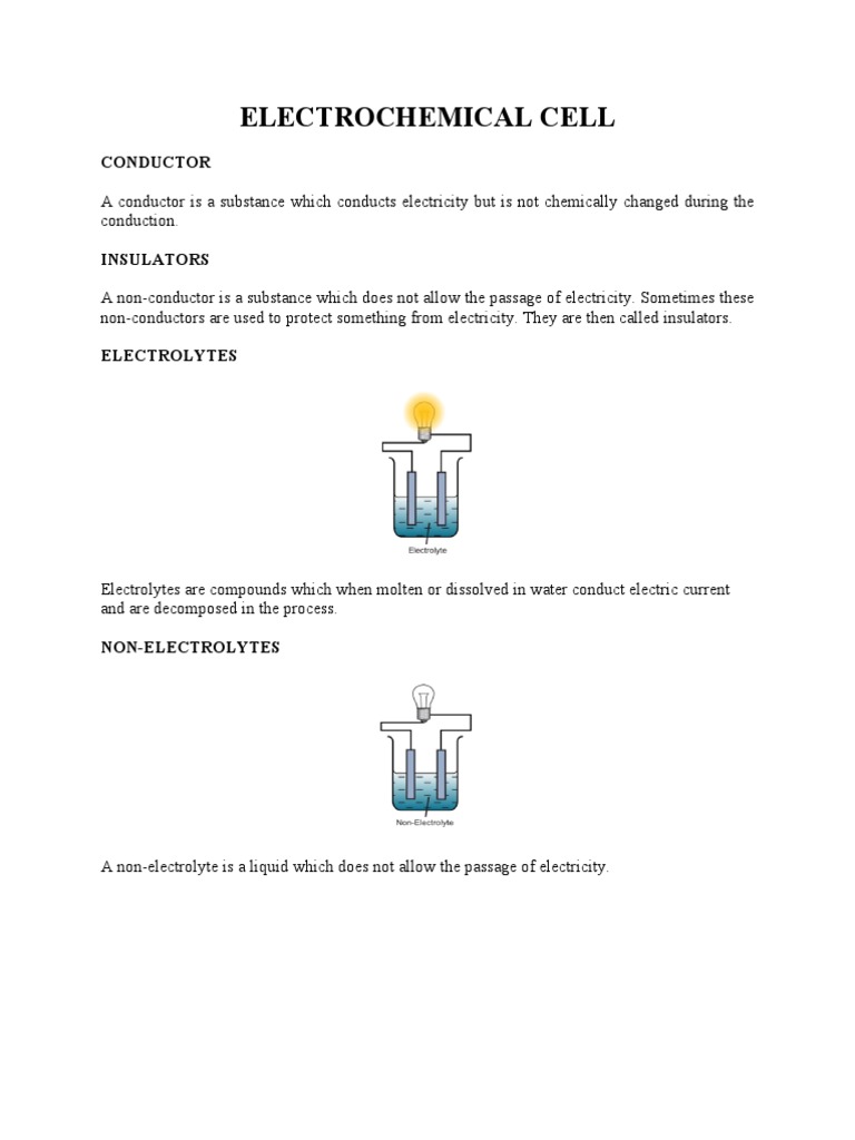 Simulation: Electrochemical Cell | PDF | Electrochemistry | Anode