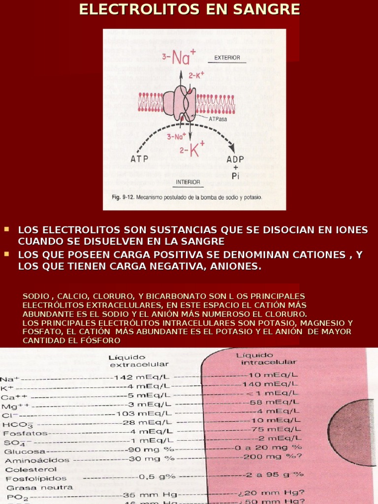 Electrolitos en Sangre: Funciones y Valores | PDF | Sodio | Electrólito