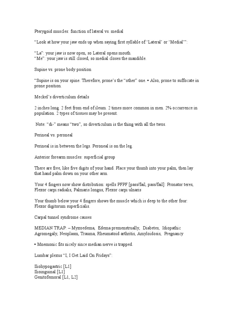 Anatomy Mnemonics | PDF | Common Carotid Artery | Human Leg