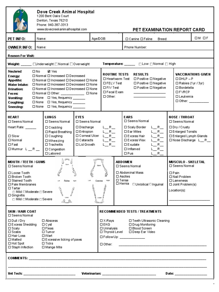 Vet Examination Form | PDF