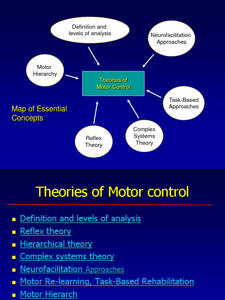 Motor Control Theories | PDF | Motor Control | Central Nervous System