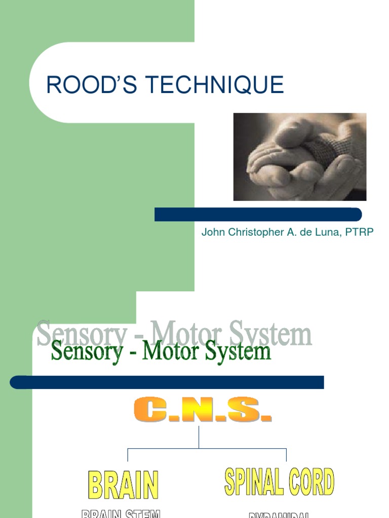 ROOD Approach | PDF | Somatosensory System | Neurobiology