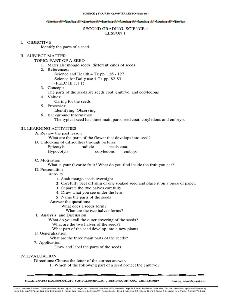 Lesson Plan | PDF | Flowers | Pollination