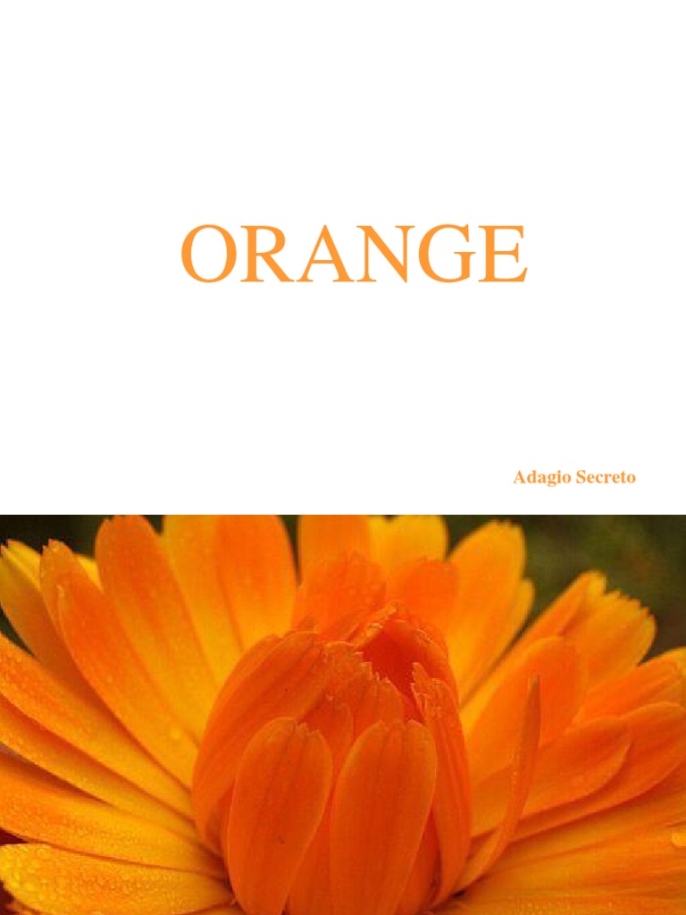 Birthday Gift | PDF | Red | Graphic Design