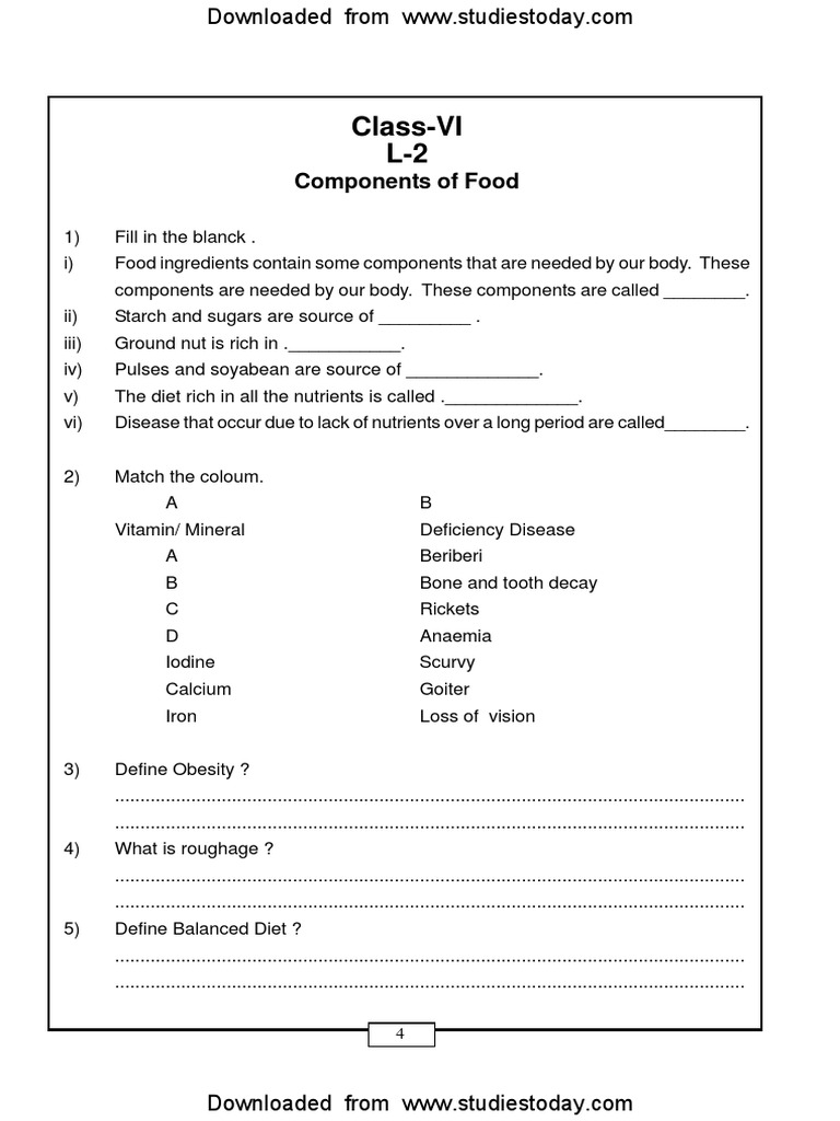 Components of Food Worksheet Class 6 | PDF | Wellness