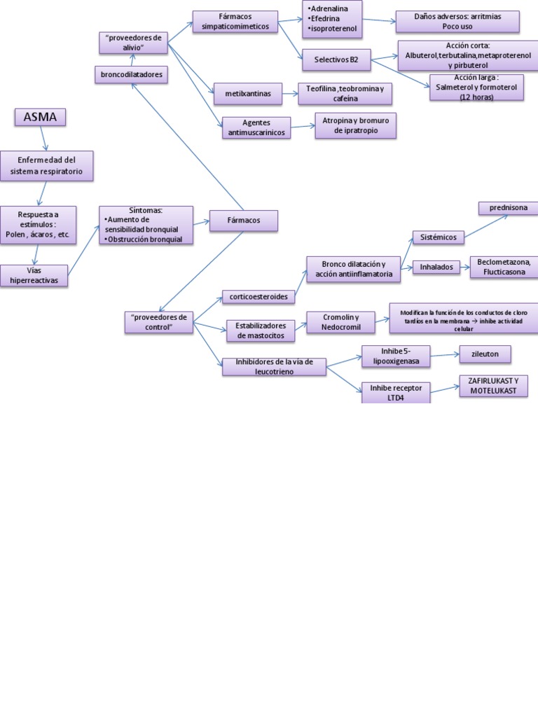 Mapa Conceptual Asma | PDF