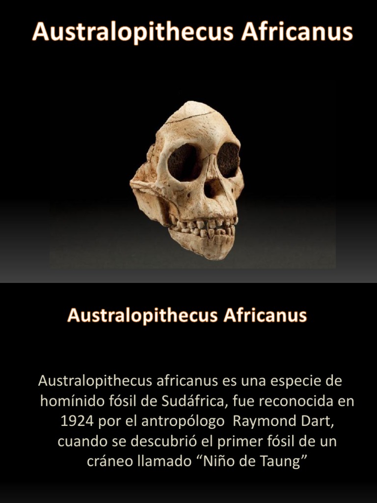 Australopithecus Africanus | PDF | Naturaleza