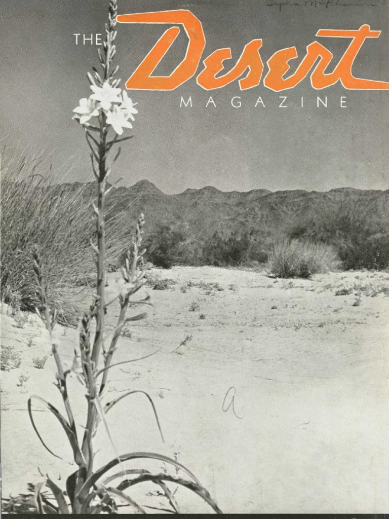 Desert Magazine 1938 March | PDF | Nature