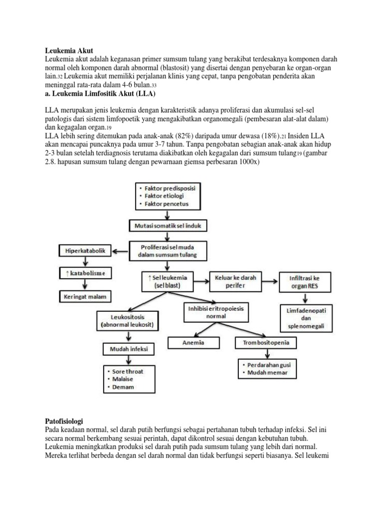 PENGERTIAN DAN KLASIFIKASI LEUKEMIA LIMFOBLASTIK AKUT | PDF