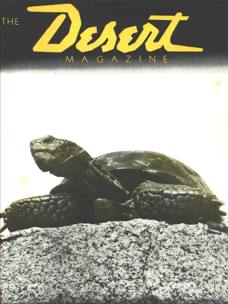 Desert Magazine 1939 July | PDF | Weaving | Utah