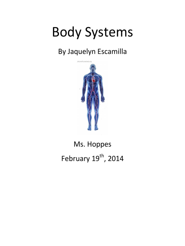 Body Systems | PDF | Human Body | Respiratory System