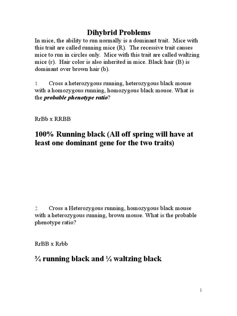 Dihybrid Problems (KEY) | PDF | Zygosity | Mouse