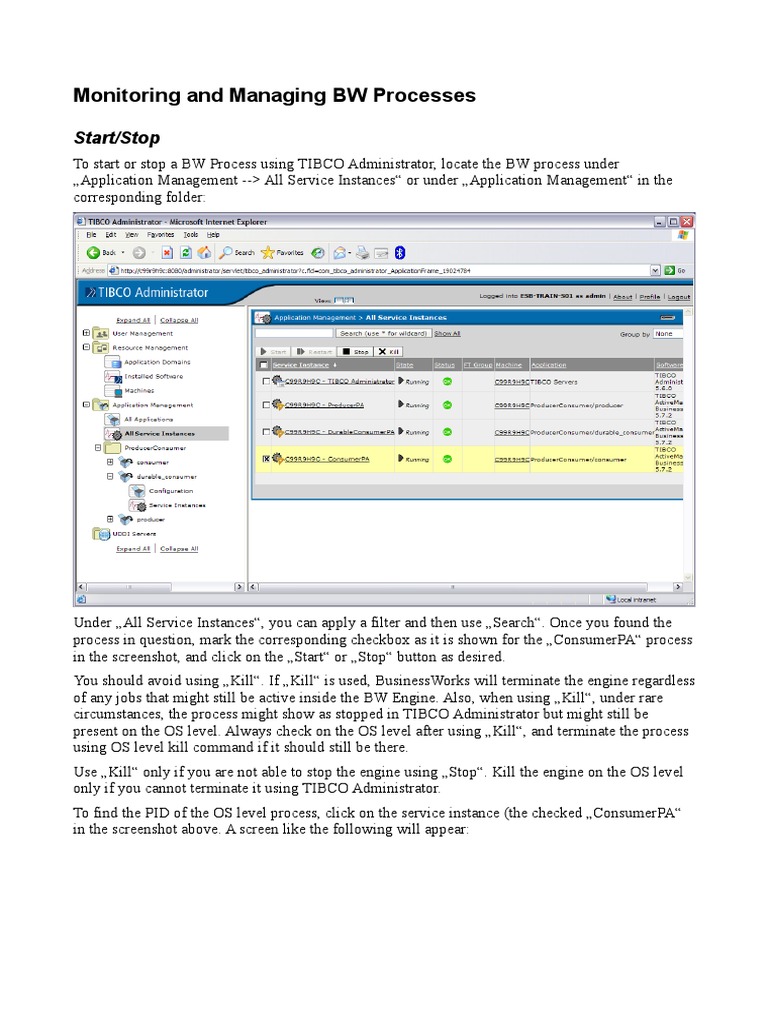 BW Training Basic | PDF | Computing | Computing And Information Technology