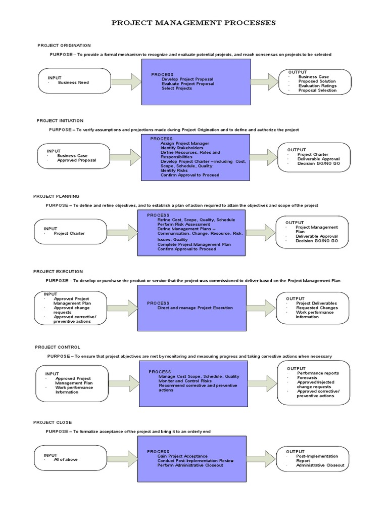 Project Management Processes Project Origination Purpose | PDF