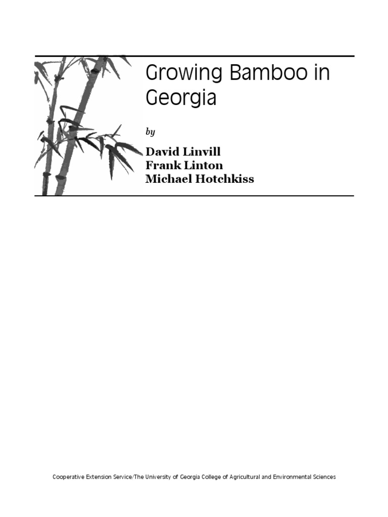 Bamboo. Growing Bamboo in Georgia | PDF | Bamboo | Plant Nursery