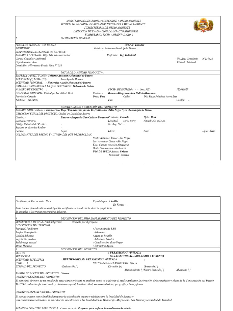 1.llenado Ficha Ambiental PUENTE TUJURE | PDF | Residuos | Contaminación