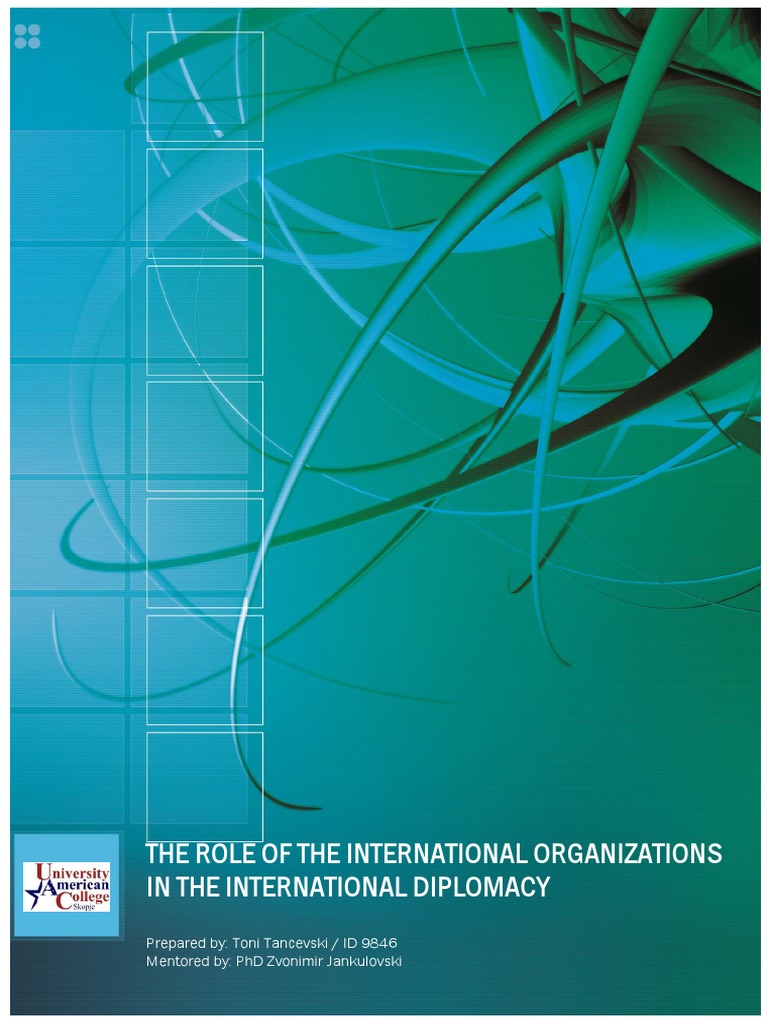 The Role of The IOs in The International Diplomacy | PDF | Human Rights ...