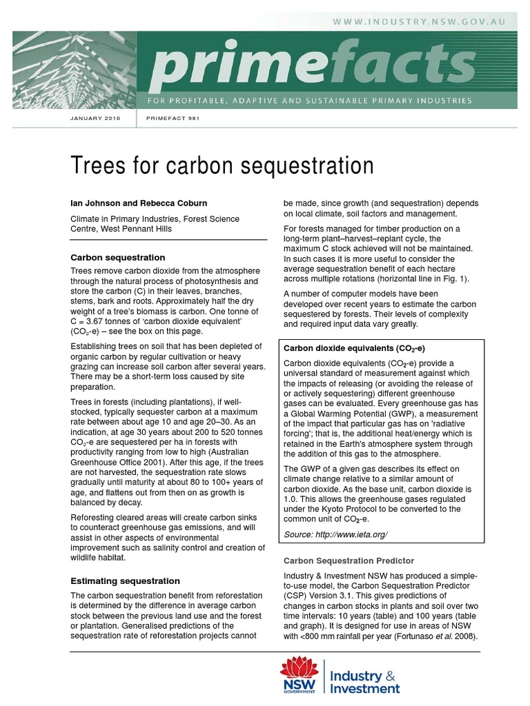 Trees For Carbon Sequestration | PDF | Carbon Sequestration ...