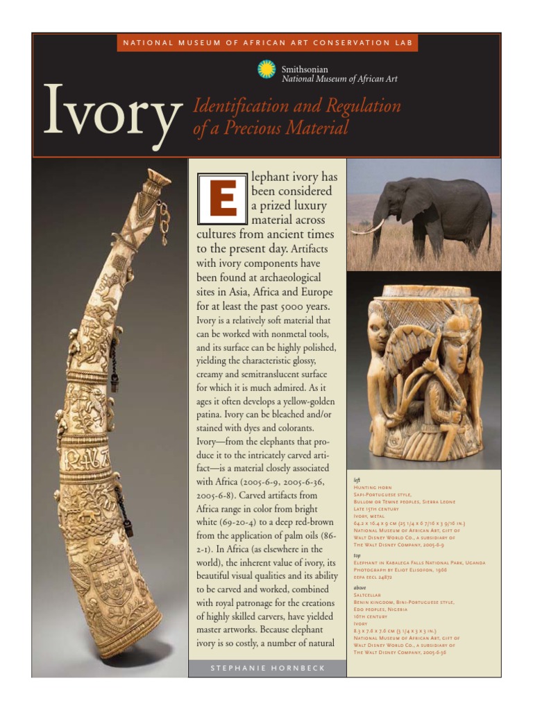 Ivory | PDF | Ivory | Tooth