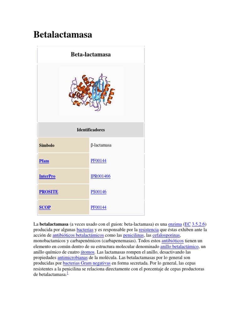 Betalactamasas: Tipos y Resistencia | PDF