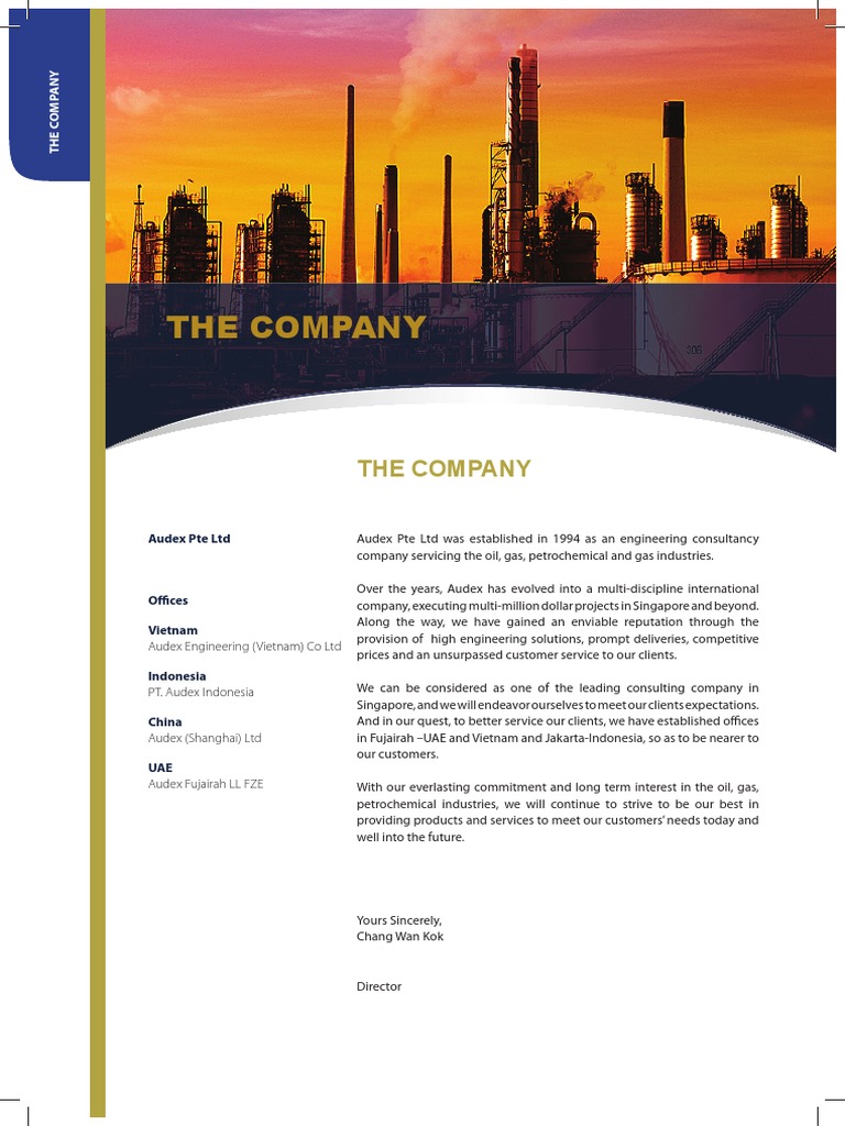 Audex Pte Ltd: Engineering Solutions Overview | PDF | Engineering ...